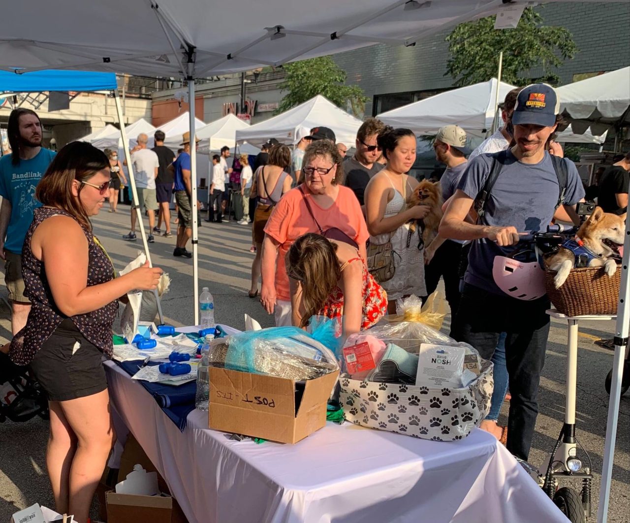 Broadway Animal Hospital Gallery | Vet In Chicago, IL